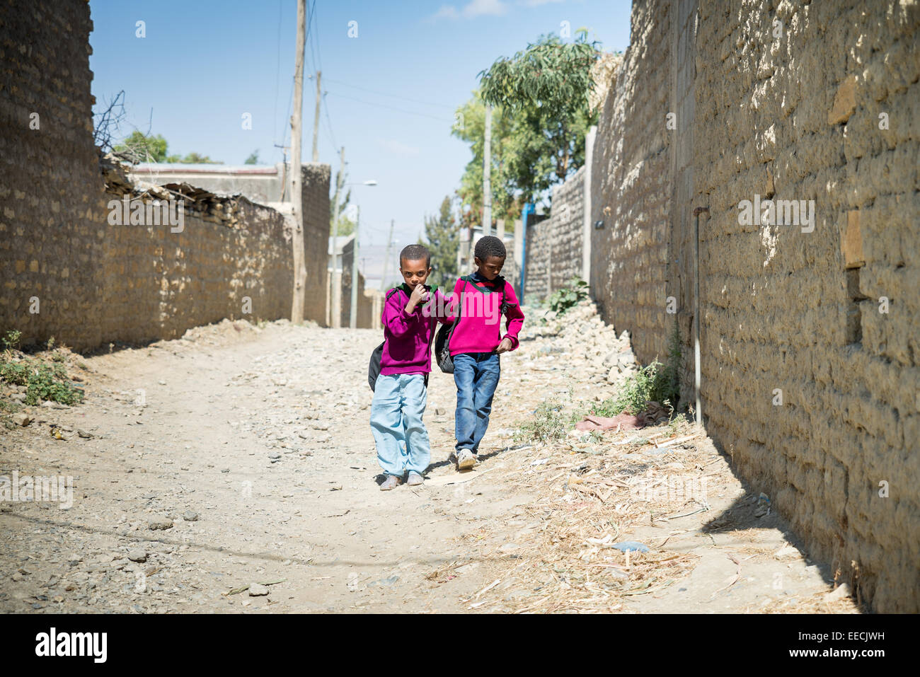 ethiopia street scenes, Mekele or Mekelle, Ethiopia, Africa Stock Photo ...