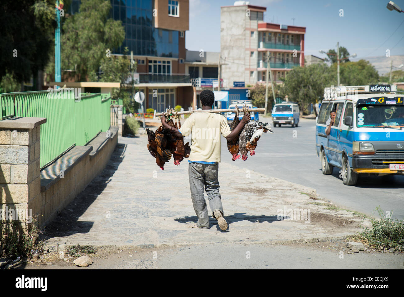 ethiopia street scenes, Mekele or Mekelle, Ethiopia, Africa Stock Photo ...
