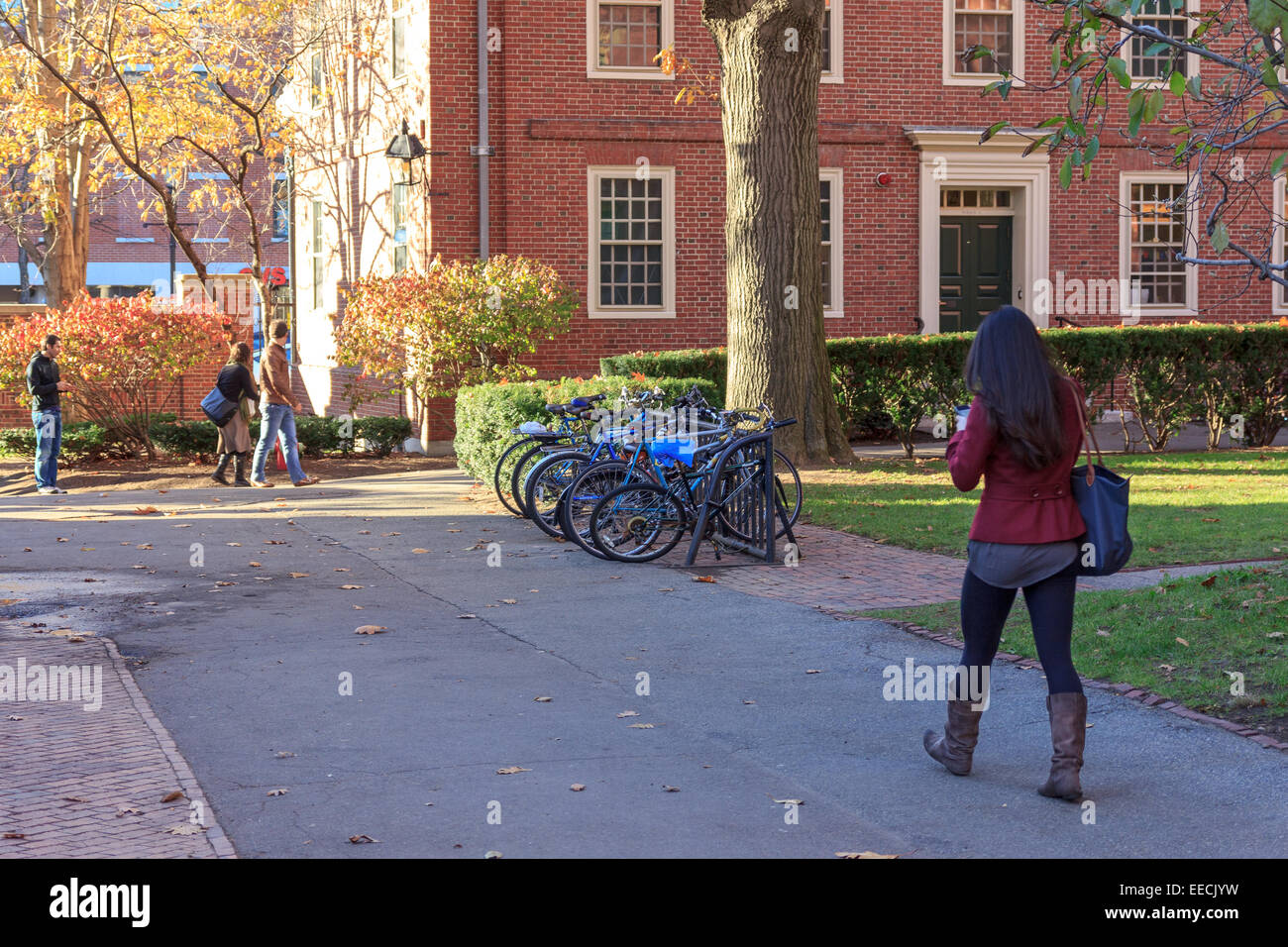 Harvard university yard walking hi-res stock photography and images - Alamy