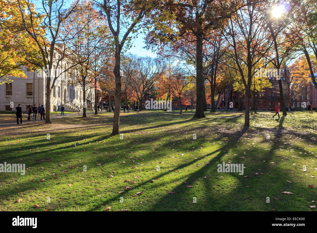 Harvard Yard, old heart of Harvard University campus, on a beautiful ...