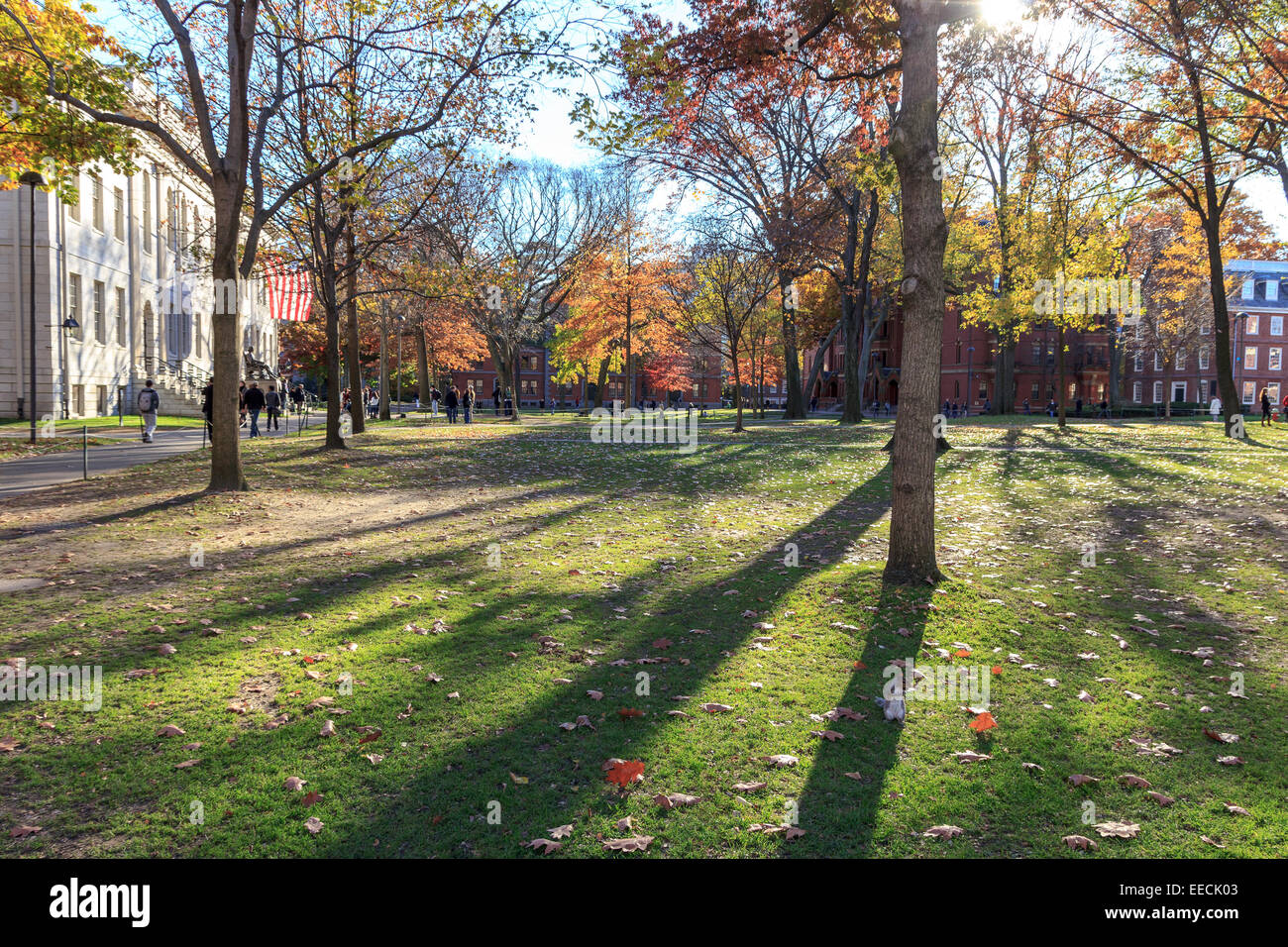 Old school quad hi-res stock photography and images - Alamy