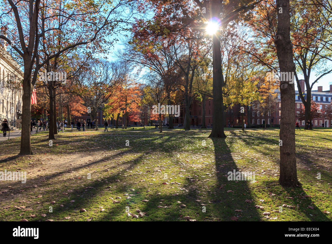 Harvard Yard, old heart of Harvard University campus, on a beautiful ...