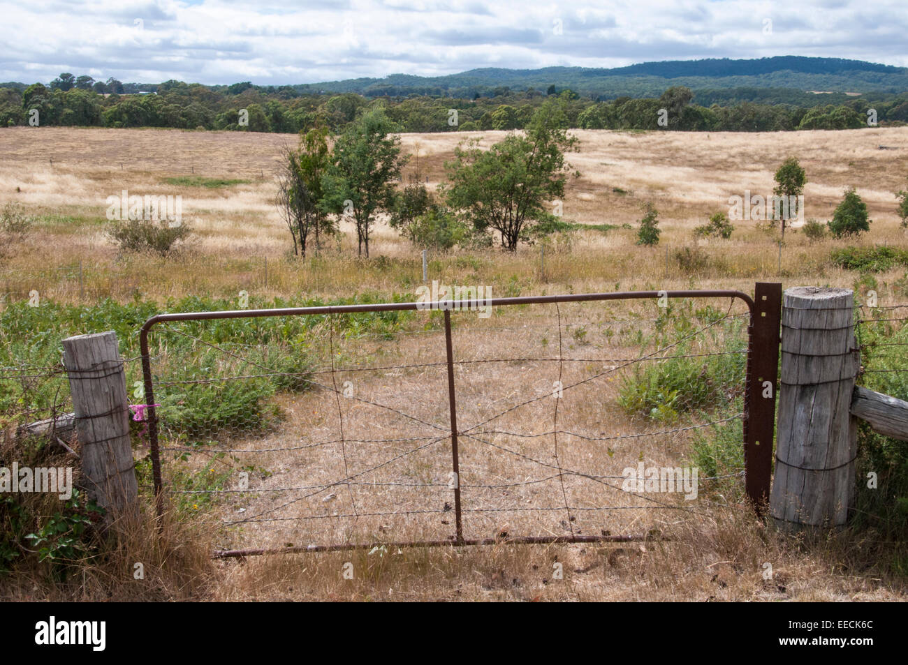 A rusting farm gate outside Beechworth, NE Victoria, Australia Stock ...