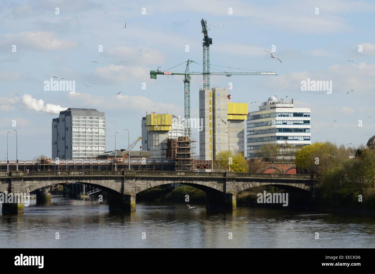 Tower blocks and construction cranes in the Gorbals in Glasgow ...