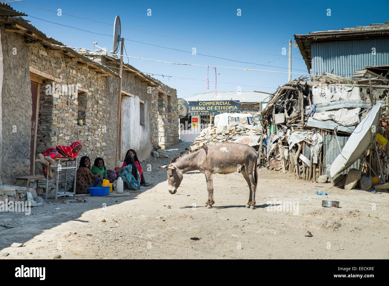 street scene in the Berhale, Danakil desert, Afar, Ethiopia Stock Photo ...