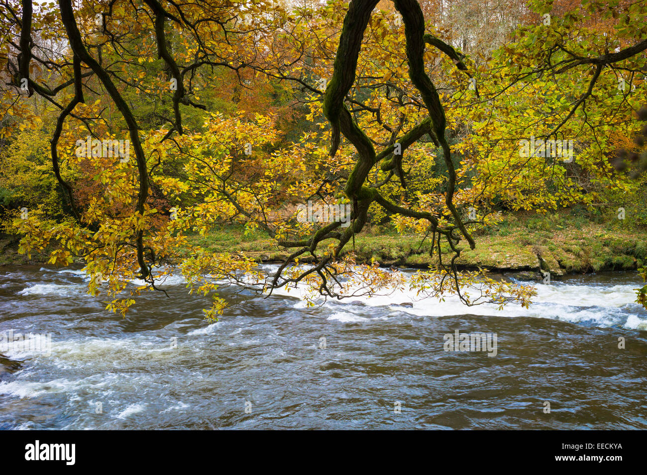 River Usk flowing in the Brecon Beacons, Powys, Wales, UK Stock Photo ...