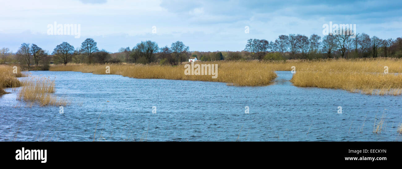White cottage in the landscape among reeds in a reedbed and marshes in ...
