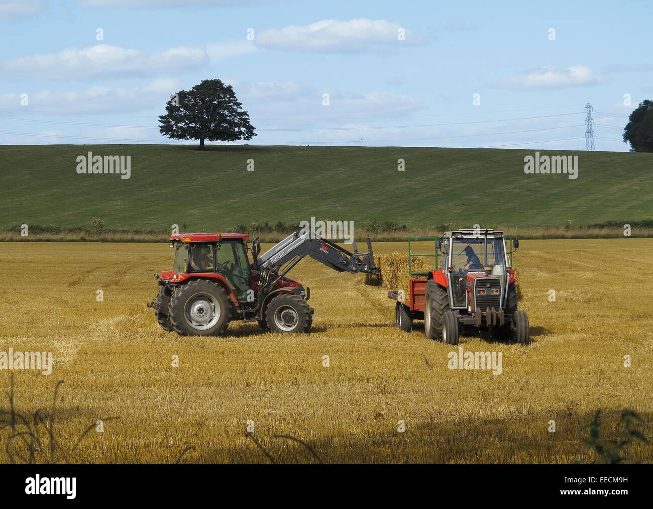 loading hay bales near Monkton Farleigh Wiltshire England UK Stock ...
