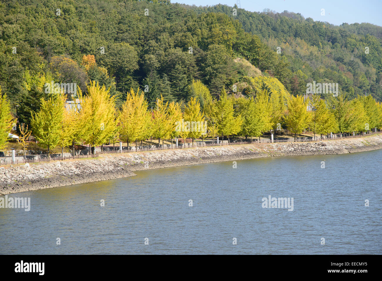 Riverside riverside riverside riverside tree hi-res stock photography ...