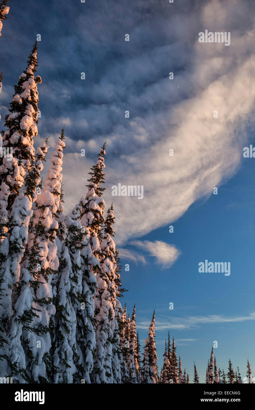 Clouds over trees hi-res stock photography and images - Alamy