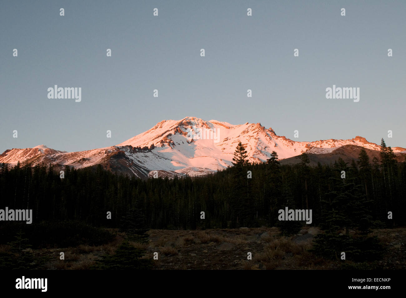 Pacific northwest native americans hi-res stock photography and images ...