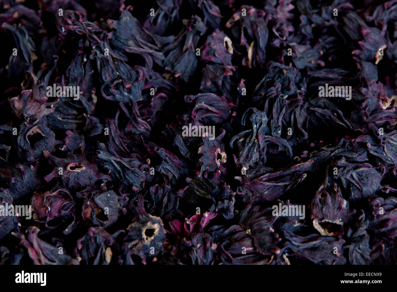 dry roselle flower Stock Photo - Alamy