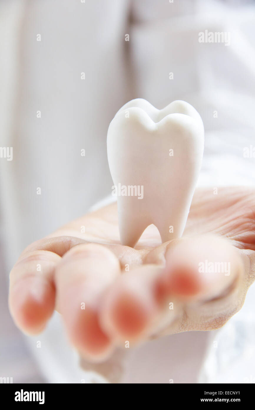 Hand holding molar hi-res stock photography and images - Alamy