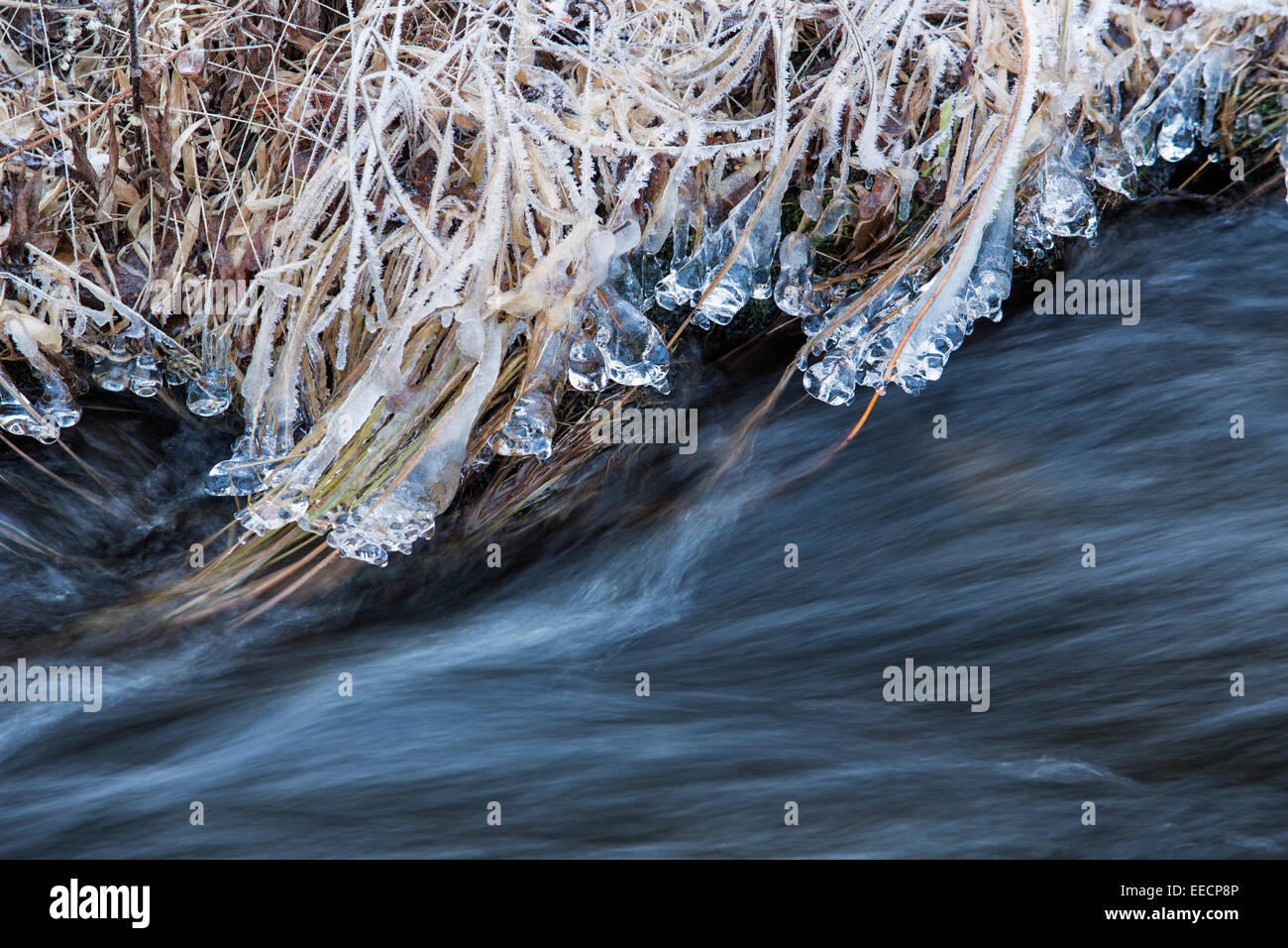 Ice on grass hi-res stock photography and images - Alamy