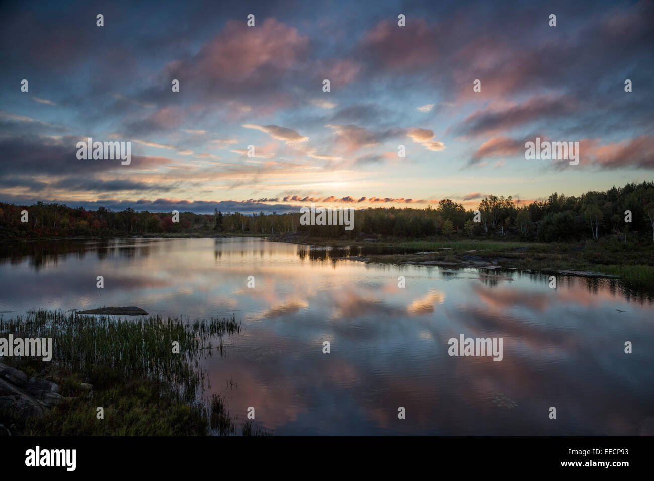 Lively city hi-res stock photography and images - Alamy