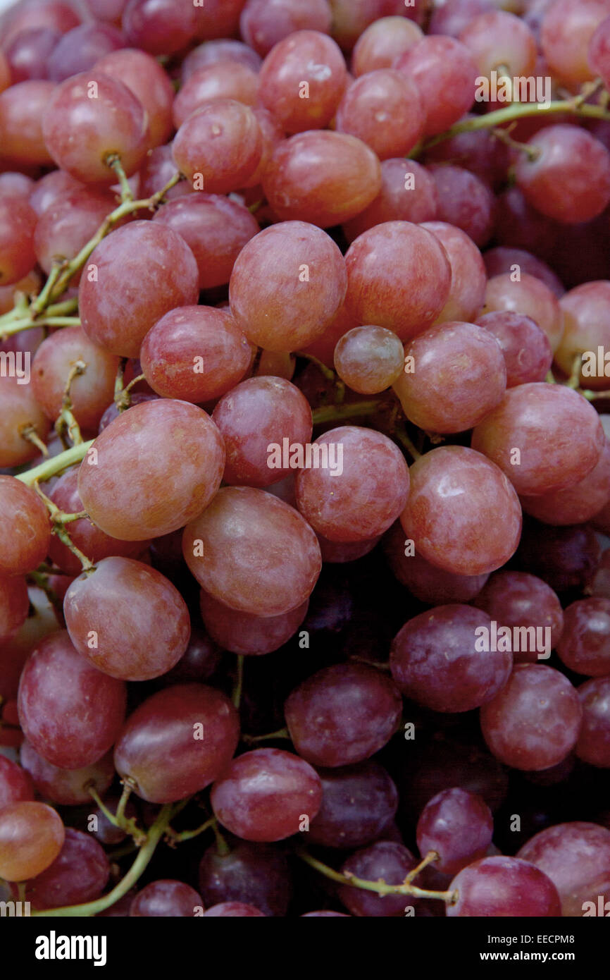 fresh red grapes Stock Photo - Alamy