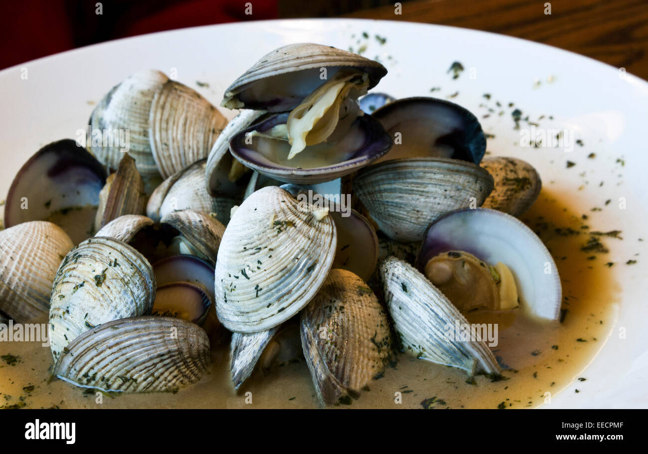 Clams steamed hi-res stock photography and images - Alamy