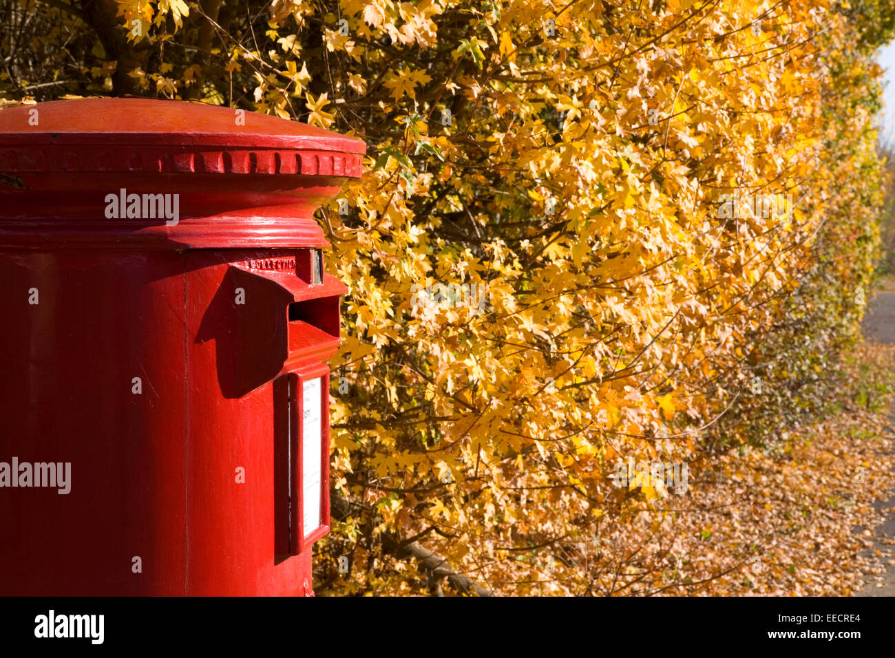 Traditional red British pillar box or mail box on the roadside with ...