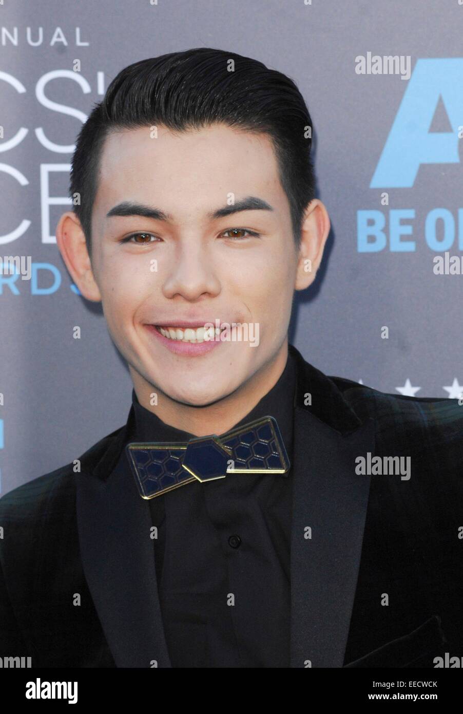 Los Angeles, CA, USA. 15th Jan, 2015. Ryan Potter at arrivals for 20th ...