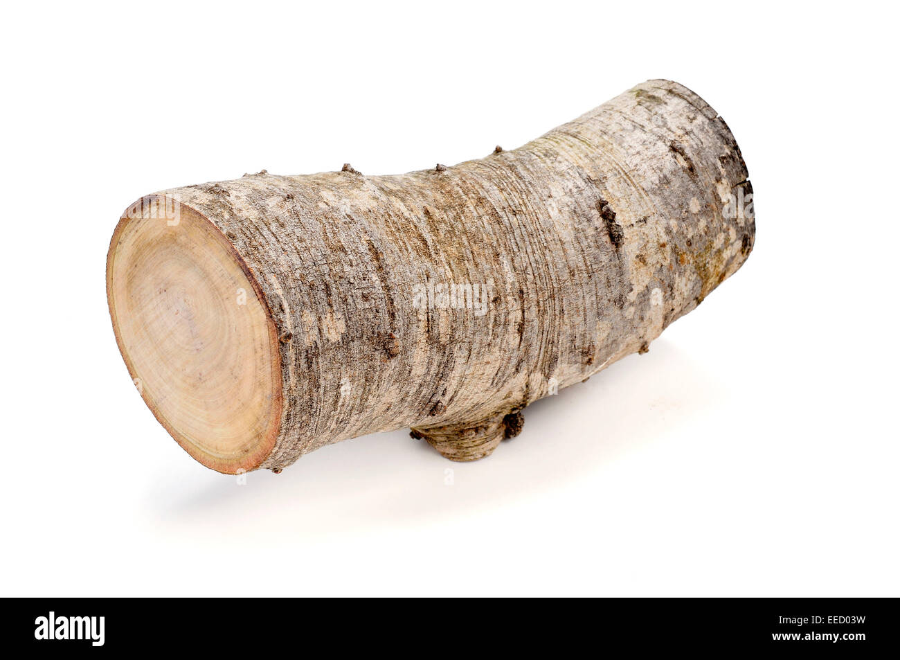 a log on a white background Stock Photo - Alamy