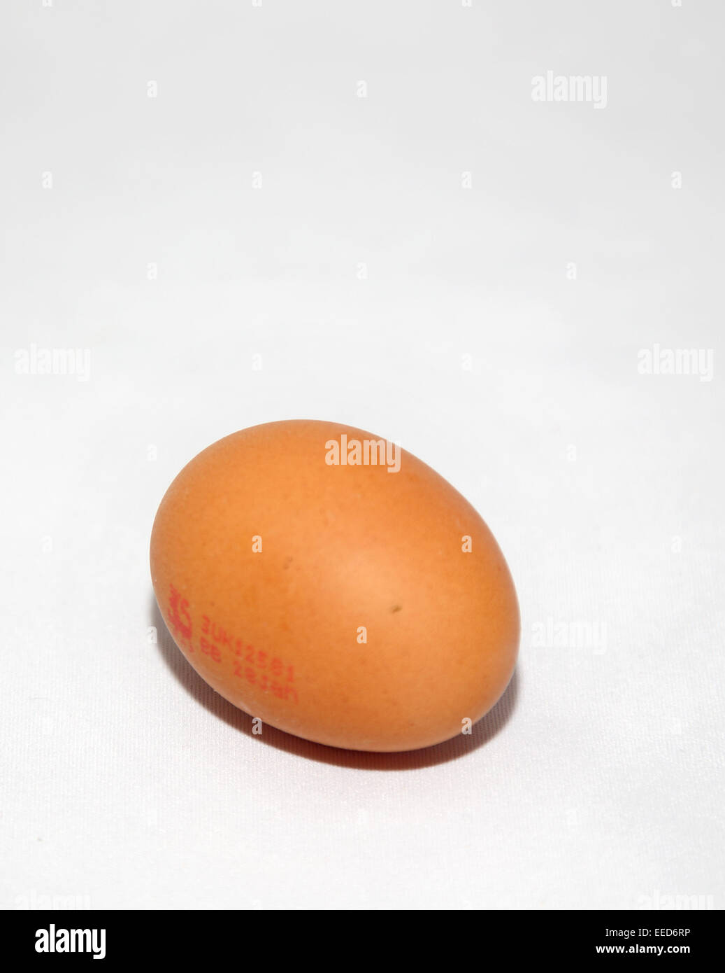 Egg in its shell hi-res stock photography and images - Alamy