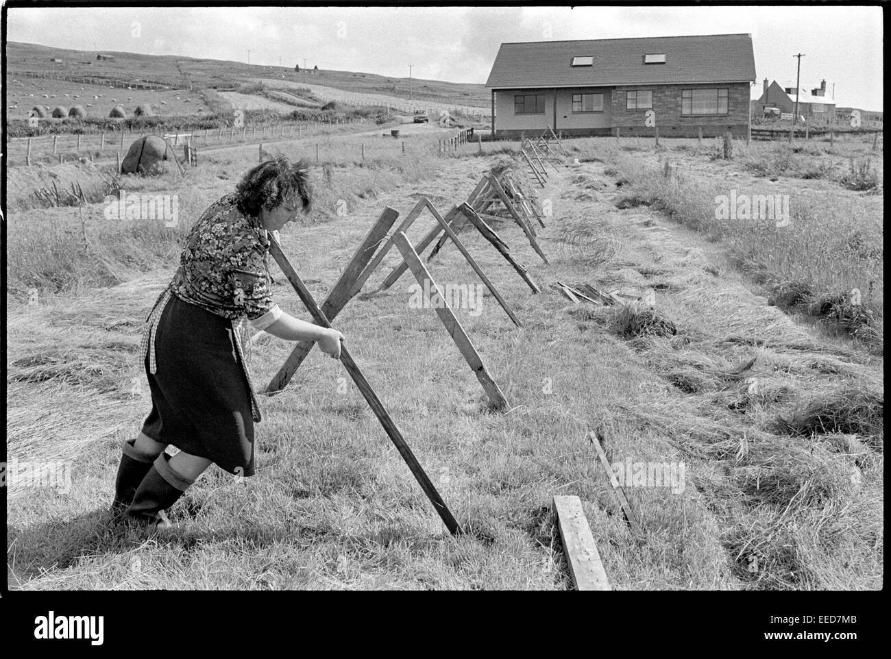 Hay racks Black and White Stock Photos & Images - Alamy