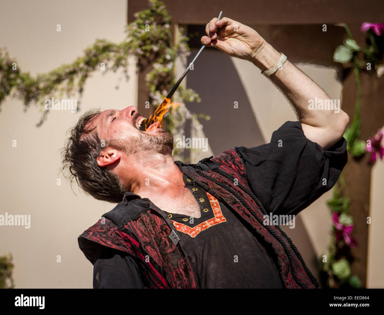 Broon hi-res stock photography and images - Alamy