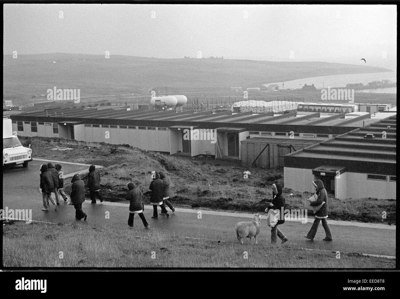 Camp Workers Arrive For Their Shift At Toft Construction Camp, Sullom ...