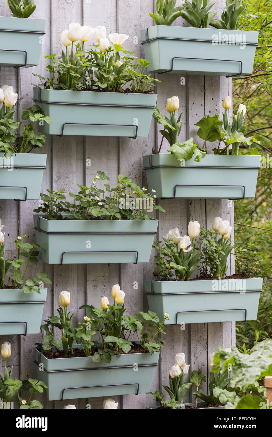 Spring containers with bulbs Stock Photo - Alamy