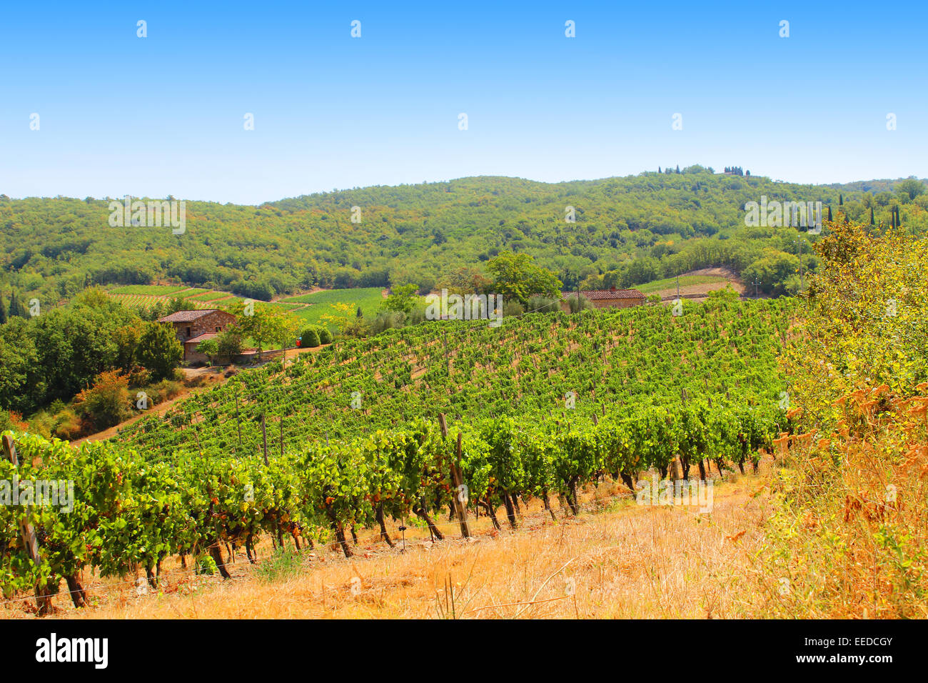 Summer day in the Countryside Stock Photo - Alamy
