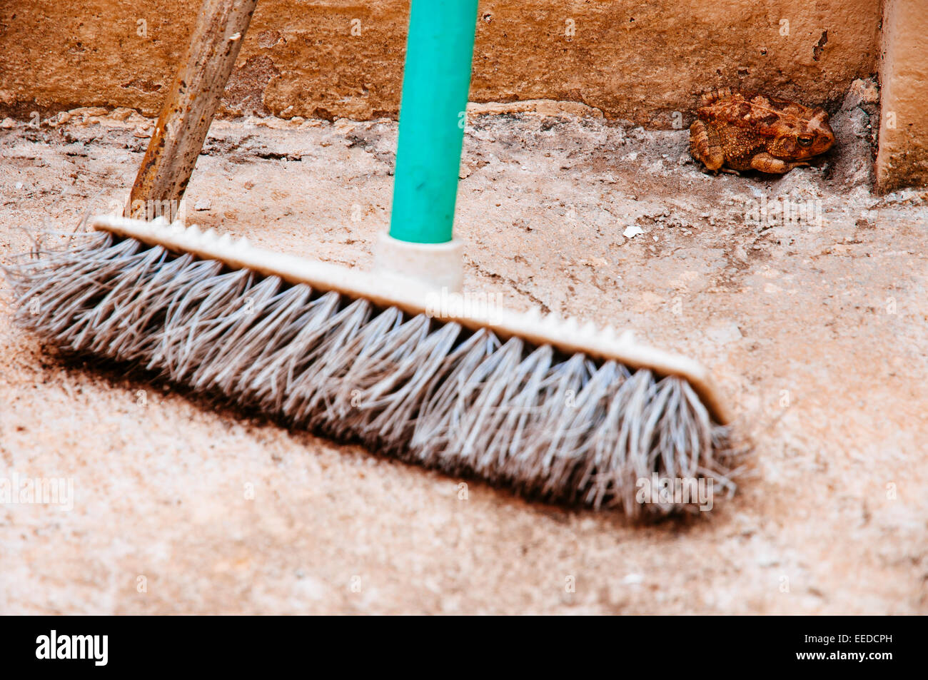 Frog and broom, Accra, Ghana Stock Photo - Alamy