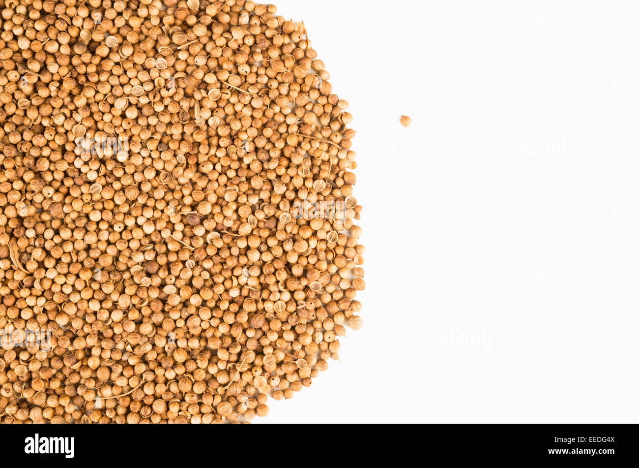 Heap of coriander seeds isolated on white Stock Photo - Alamy
