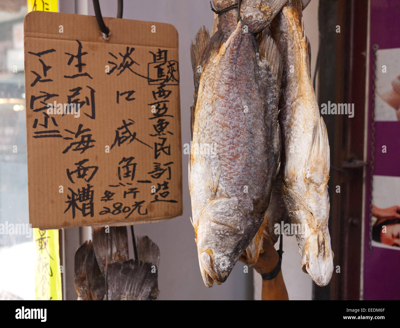 Hong kong fish markets hi-res stock photography and images - Alamy