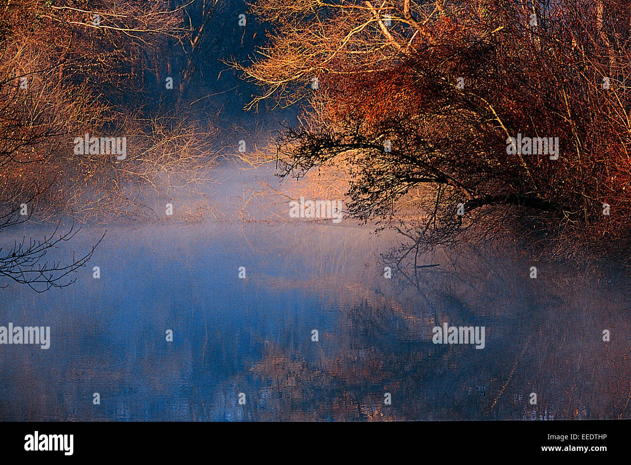 Fog rising hi-res stock photography and images - Alamy