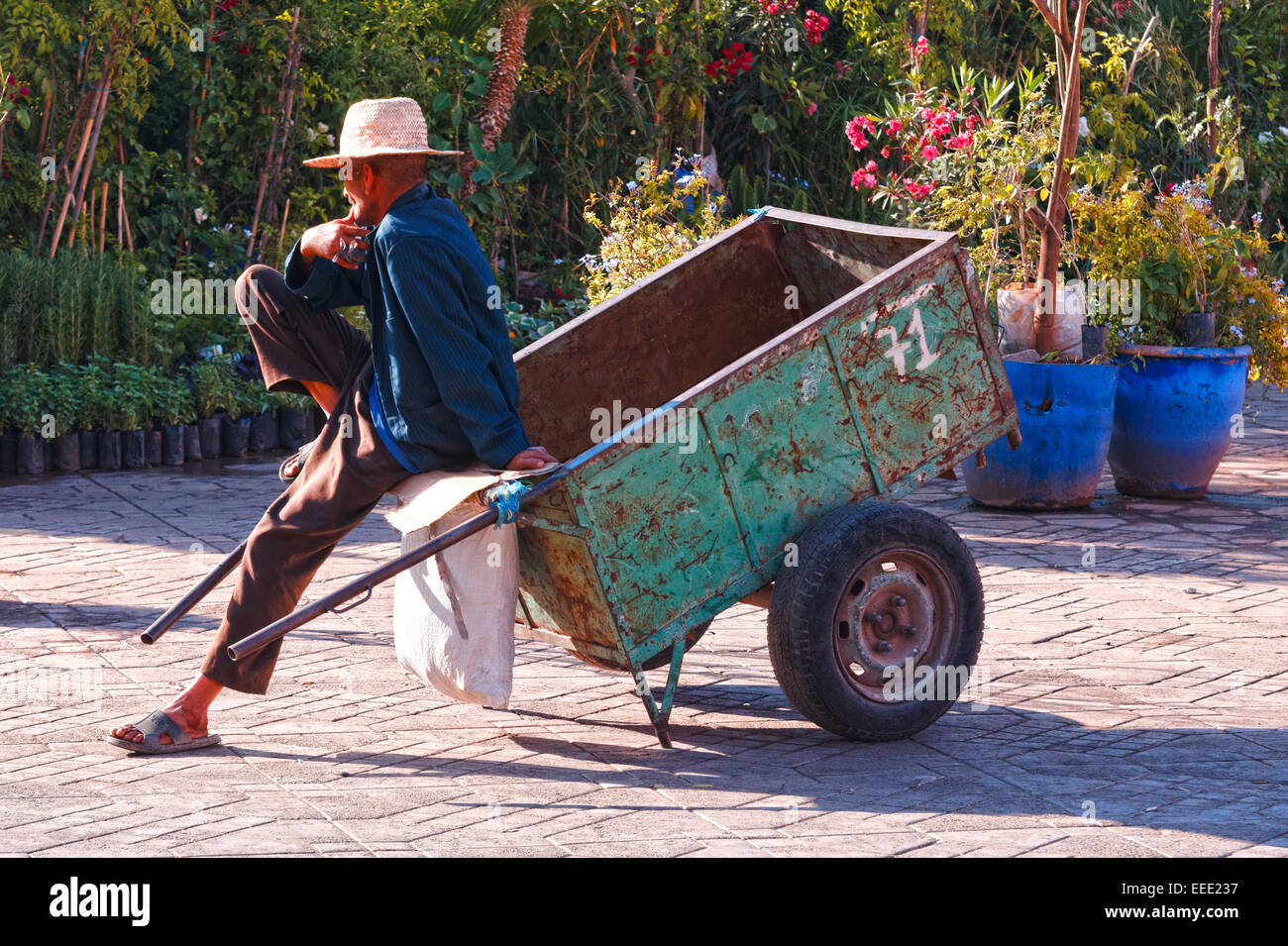 El fna man cart hi-res stock photography and images - Alamy