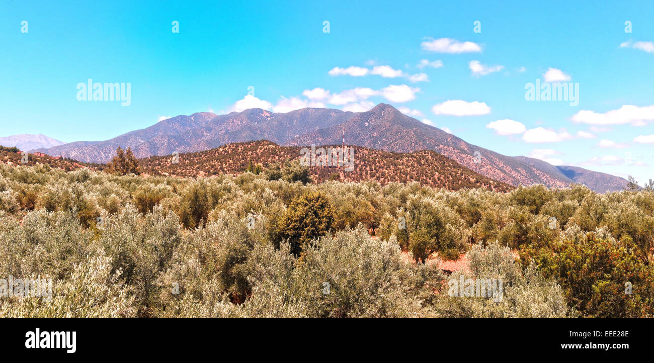 The Atlas Mountains, Morocco, North Africa with scrub beush land Stock ...