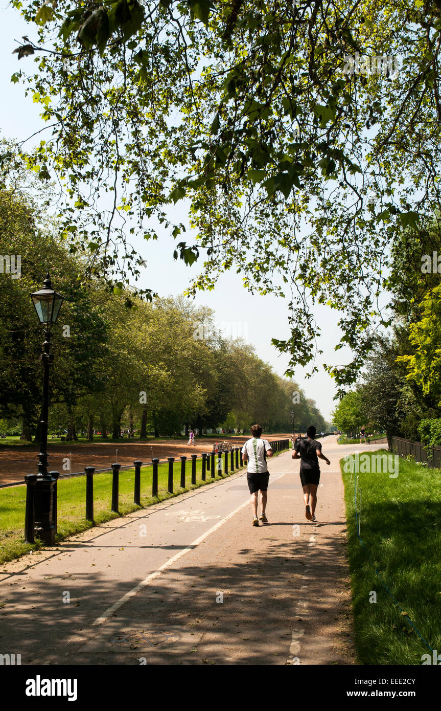 Portrait image showing two 'joggers' on a path in Hyde Park, London ...