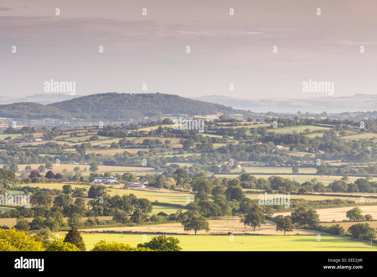 The view over the Blackmore Vale from Hambledon Hill in Dorset Stock ...