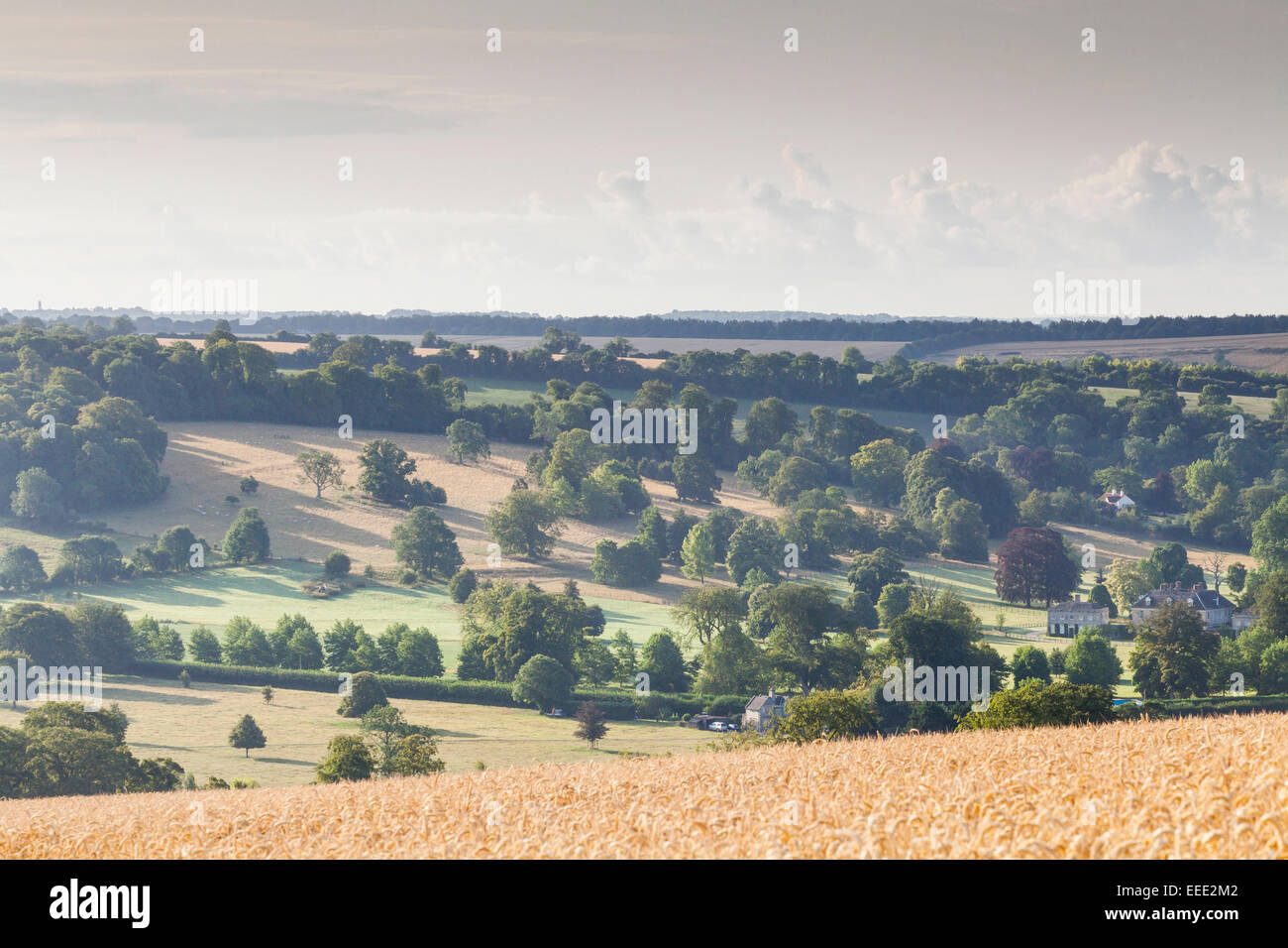 The view over the Blackmore Vale from Hambledon Hill in Dorset Stock ...