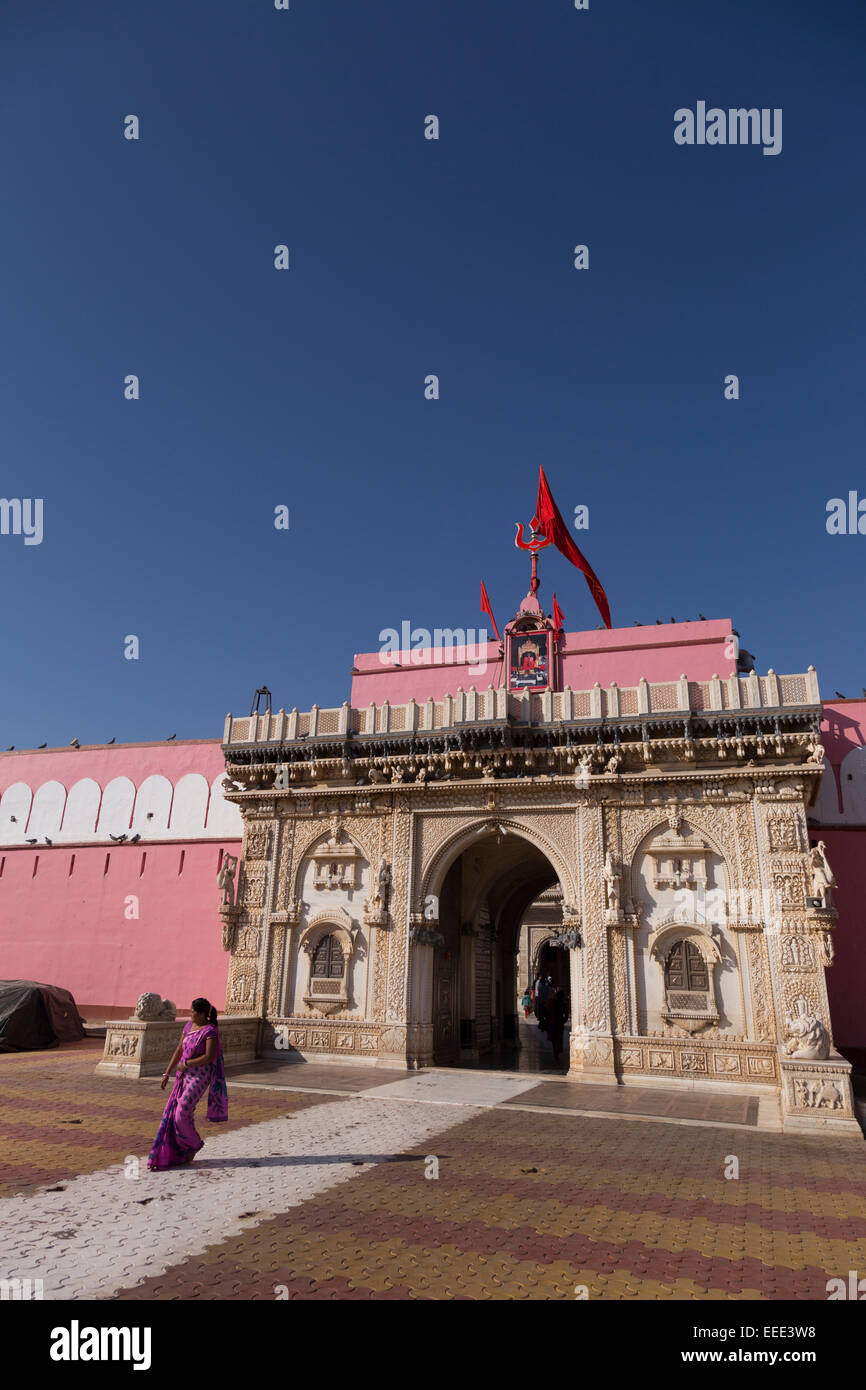 India, Rajasthan, Bikaner, Deshnoke, Karni Mata Temple Stock Photo - Alamy