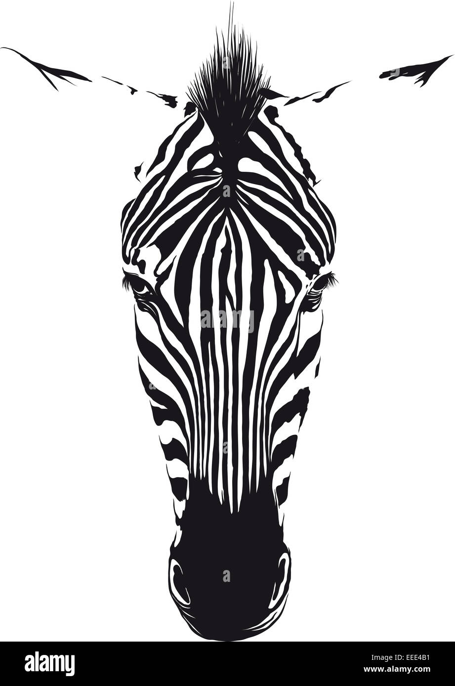 Zebra head cartoon hi-res stock photography and images - Alamy
