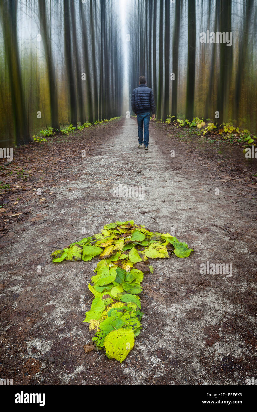 Following nature direction - An arrow of autumnal leaves on a street ...