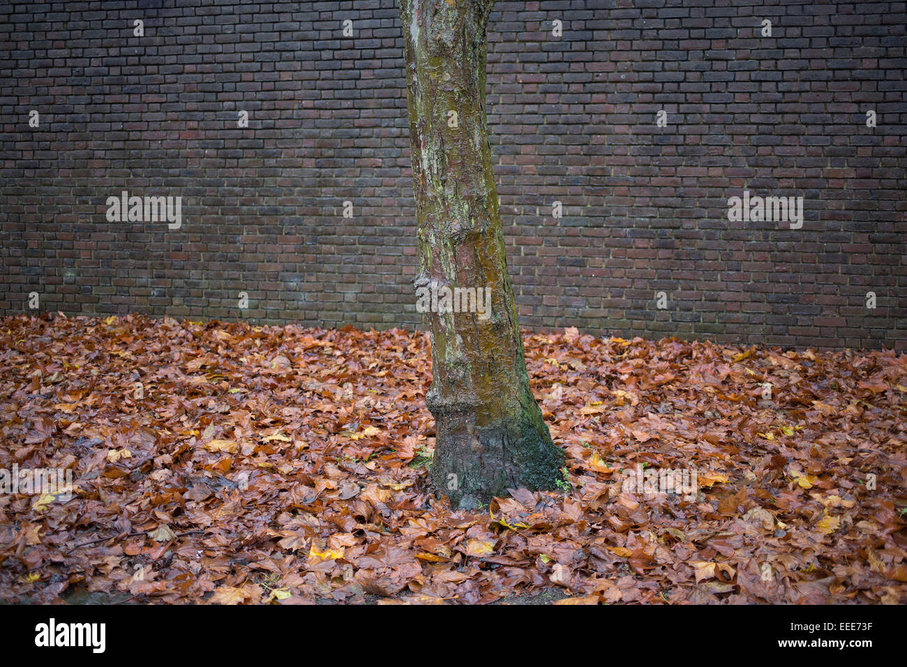 Texture brick wall fallen hi-res stock photography and images - Alamy