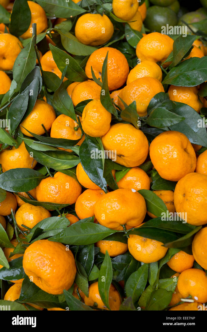 Tangerines on sale at market in Hoi An Stock Photo - Alamy