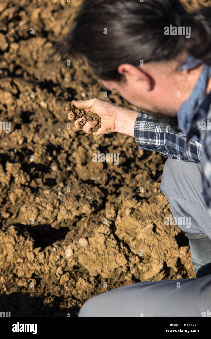 Farmer checking the soil on his arable land in his hand Stock Photo - Alamy
