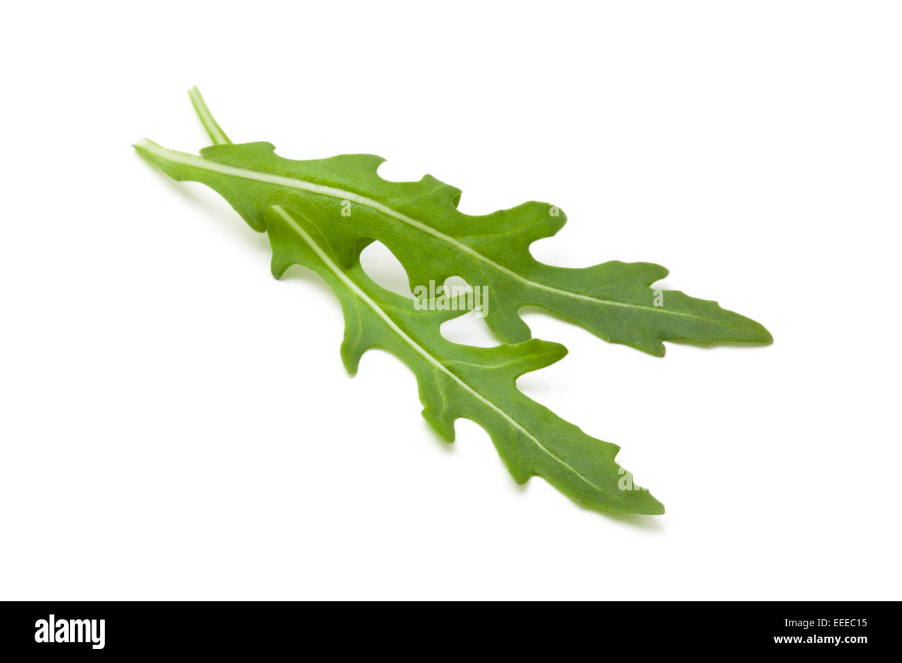 Fresh green rocket salad Cut Out Stock Images & Pictures - Alamy