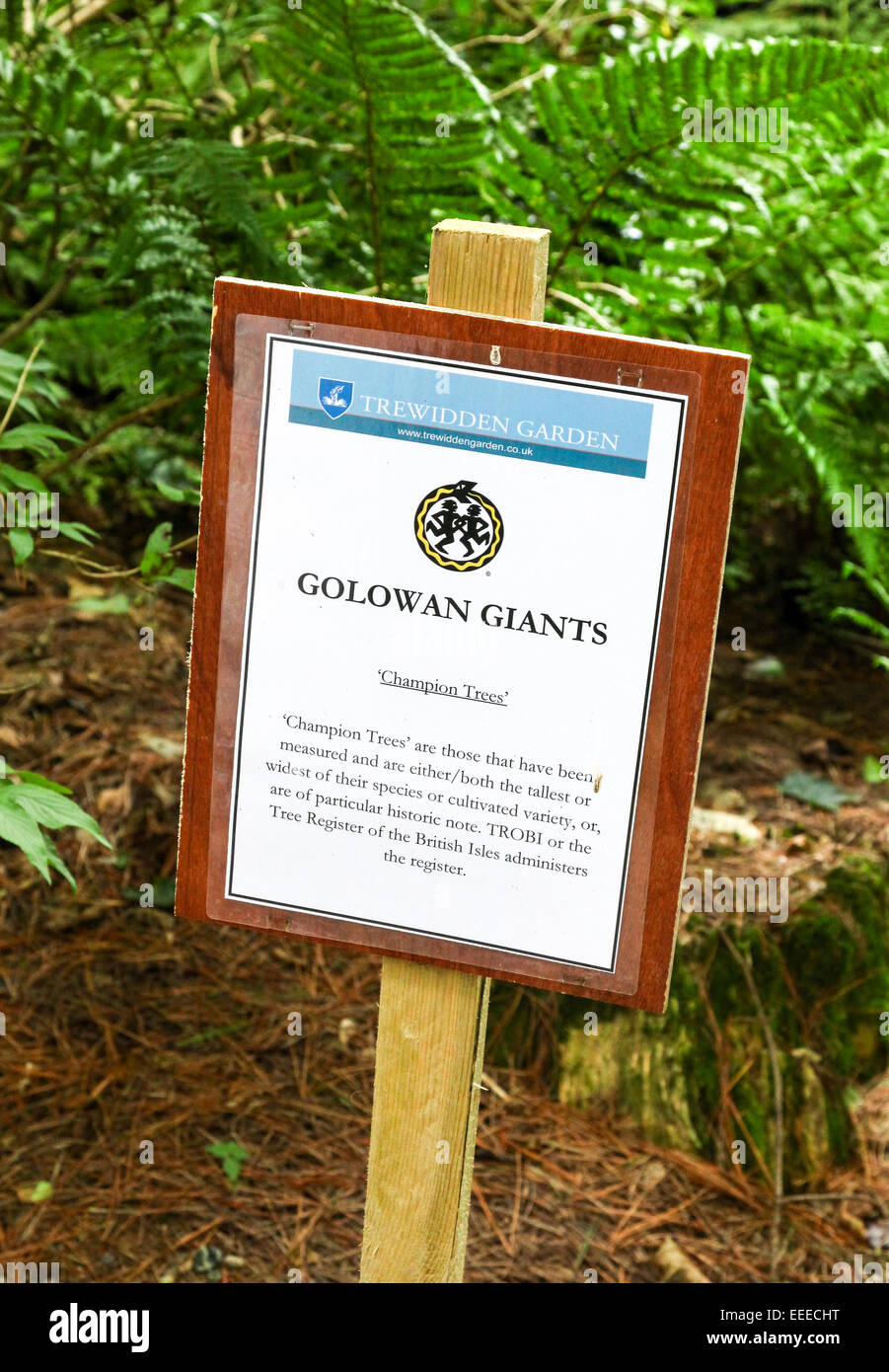 A sign saying Golowan Giants, Champion trees, at Trewidden Garden ...