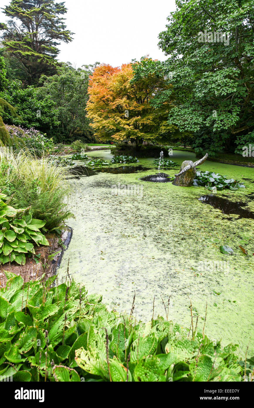 A whale sculpture in a pond or pool at Trewidden Garden Cornwall South ...