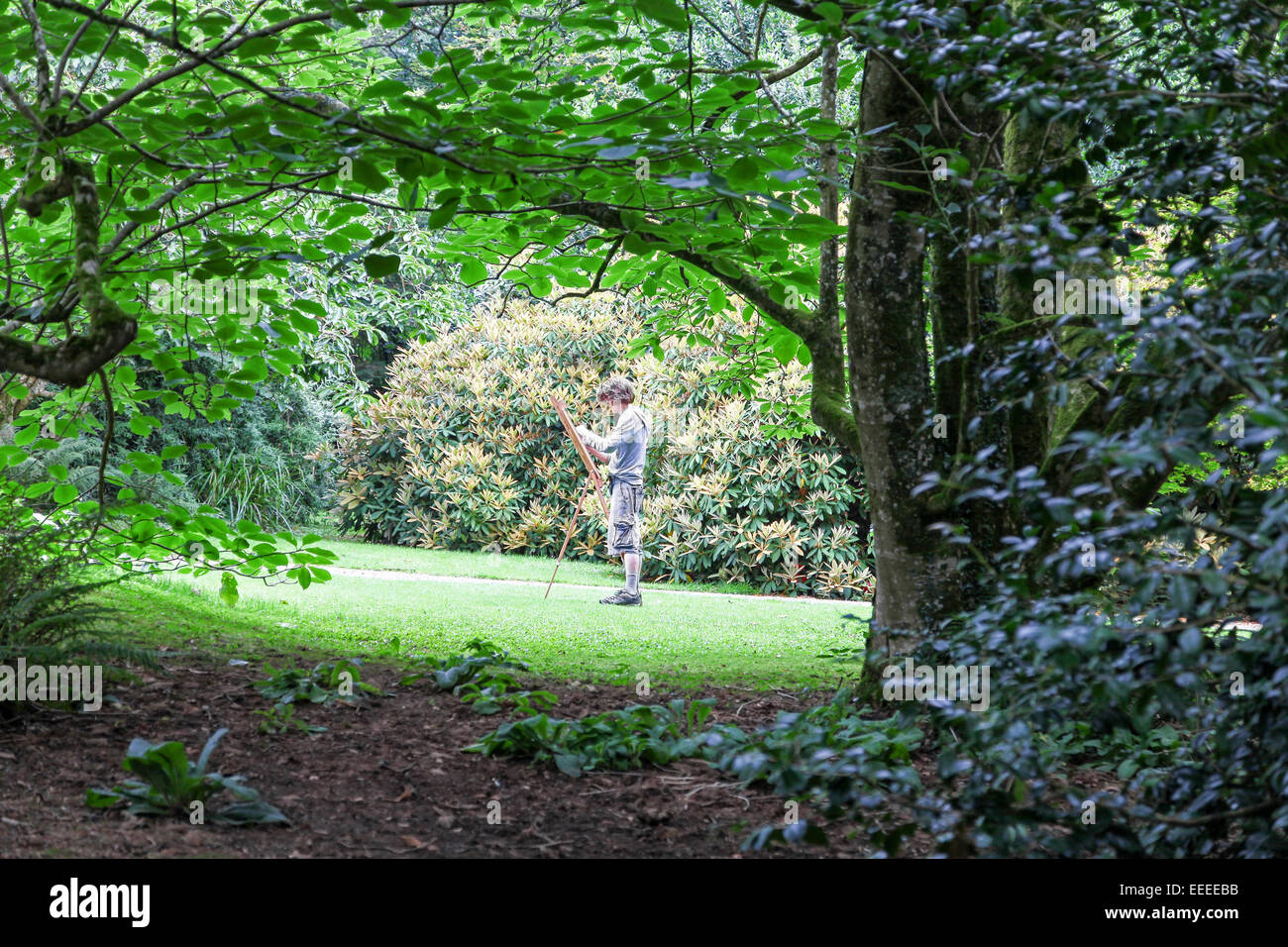 A young man sketching and painting on an easel outside at Trewidden ...
