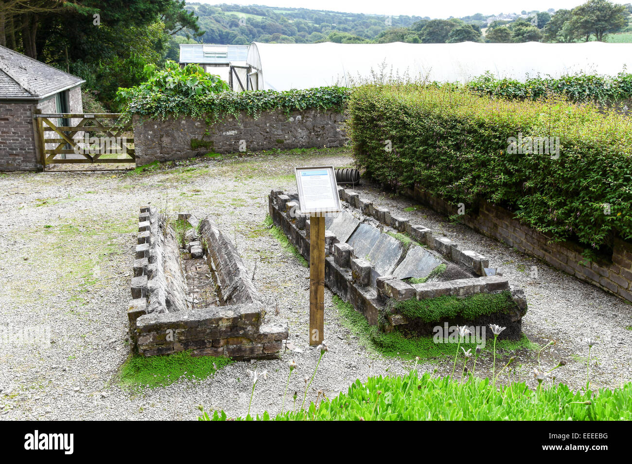 Trewidden gardens hi-res stock photography and images - Alamy